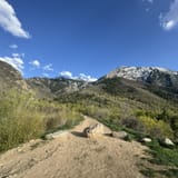 Neff's Canyon Loop, Utah - 2,477 Reviews, Map | AllTrails
