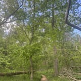Glover-Archbold Trail, District of Columbia - 488 Reviews, Map | AllTrails
