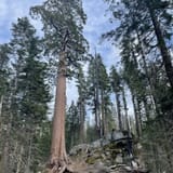 Viola Falls, California - 371 Reviews, Map | AllTrails