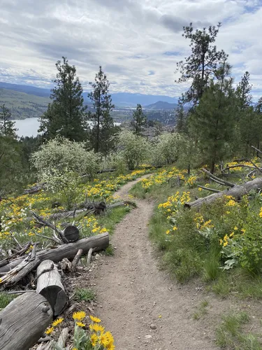 Best Trail Running Trails in Spion Kop Hiking Trails | AllTrails