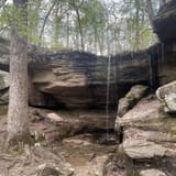 Bear Creek Outcroppings Trail, Mississippi - 538 Reviews, Map | AllTrails