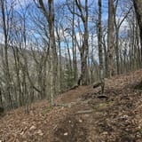 Siler Bald via Appalachian Trail, North Carolina - 745 Reviews, Map ...
