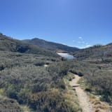 Illawong Walk, New South Wales, Australia - 330 Reviews, Map | AllTrails