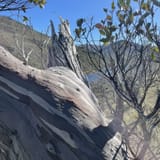 Illawong Walk, New South Wales, Australia - 330 Reviews, Map | AllTrails