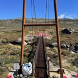 Illawong Walk, New South Wales, Australia - 330 Reviews, Map | AllTrails