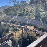 Illawong Walk, New South Wales, Australia - 330 Reviews, Map | AllTrails