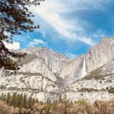 Sentinel Meadow Cook's Meadow Loop Trail, California - 3,107 Reviews ...