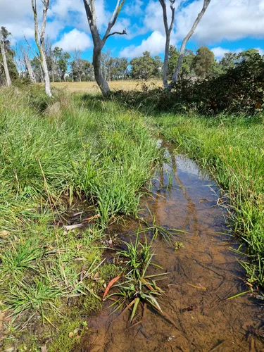 10 Best Trails and Hikes in Armidale | AllTrails