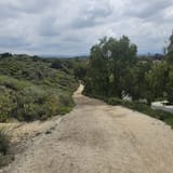 Fullerton Loop, California - 4,098 Reviews, Map | AllTrails