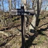 Upper Hawksbill Trail, Virginia - 2,639 Reviews, Map | AllTrails