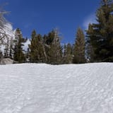 Chickadee Ridge via Tahoe Rim Trail, Nevada - 2,437 Reviews, Map ...