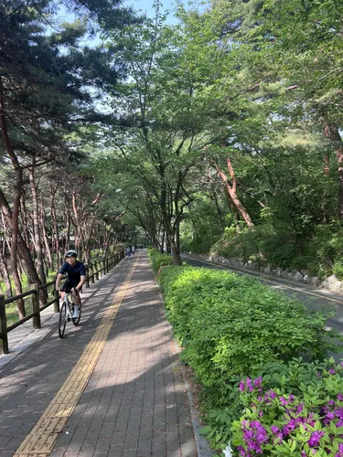 10 Best Road Biking Trails in Seoul | AllTrails