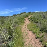 Cozy Dell Via Foothill Trail, California - 651 Reviews, Map | AllTrails