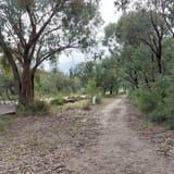 Cannibal Creek, Dawson, and Lupton Loop, Victoria, Australia - 18 ...