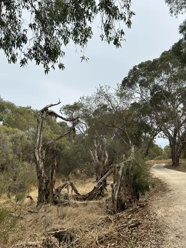 Best Lake Trails in Beeliar Regional Park | AllTrails