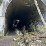 Iron Goat Trail, Washington - 1,375 Reviews, Map | AllTrails