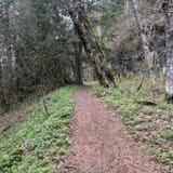 Iron Goat Trail, Washington - 1,385 Reviews, Map | AllTrails