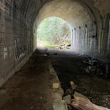 Iron Goat Trail, Washington - 1,375 Reviews, Map | AllTrails