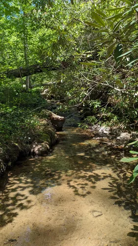 Best River Trails in Tryon | AllTrails