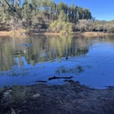 Lynx Lake Loop Trail, Arizona - 2,359 Reviews, Map | AllTrails