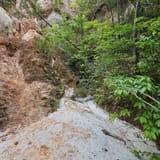 Canyon Loop Trail, Georgia - 2,261 Reviews, Map | AllTrails