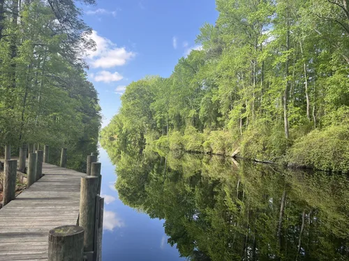 10 Best Long Trails in Great Dismal Swamp National Wildlife Refuge ...