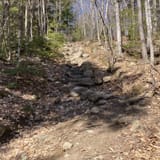 Pleasant Mountain via Bald Peak Trail, Maine - 743 Reviews, Map | AllTrails