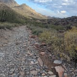 Quartz Ridge Trail (#8A), Arizona - 2,129 Reviews, Map | AllTrails
