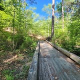 Wild Azalea Trail, Louisiana - 290 Reviews, Map | AllTrails