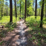 Wild Azalea Trail, Louisiana - 289 Reviews, Map | AllTrails