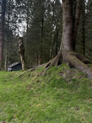 Best Waterfall Trails in Hafren Forest | AllTrails