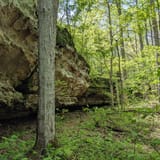 Panther Den Loop, Illinois - 1,021 Reviews, Map | AllTrails