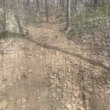 Mirror Lake, White Trail, and Castle Craig Loop, Connecticut - 1,609 ...