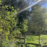 Castle Eden Dene Circular, County Durham, England - 194 Reviews, Map ...