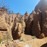 Red Mountain Trail, Arizona - 968 Reviews, Map | AllTrails