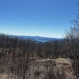 Red Hill Fire Tower Loop Trail, New Hampshire - 1,371 Reviews, Map ...