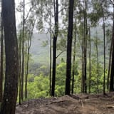 Makiki Valley Loop, Oahu, Hawaii - 5,653 Reviews, Map | AllTrails