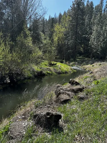 Best Kid Friendly Trails in Colfax | AllTrails