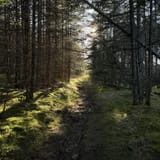 Amethyst Cove Trail, Nova Scotia, Canada - 353 Reviews, Map | AllTrails