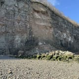 Amethyst Cove Trail, Nova Scotia, Canada - 353 Reviews, Map | AllTrails