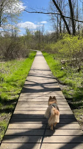 Best Hikes and Trails in Firestone Metro Park | AllTrails