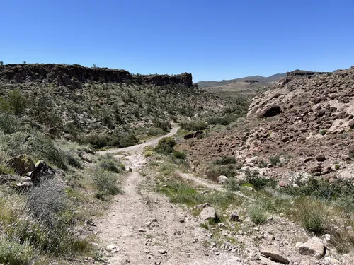 Best Hikes and Trails in White Cliffs Trail System | AllTrails