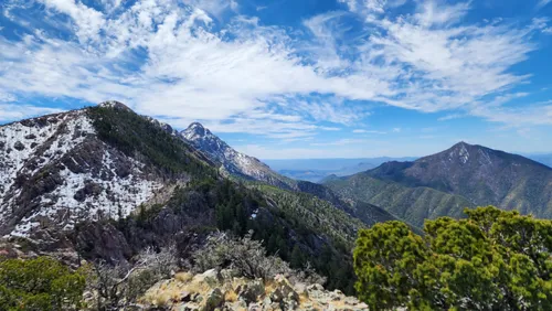 Best Forest Trails in Sahuarita | AllTrails