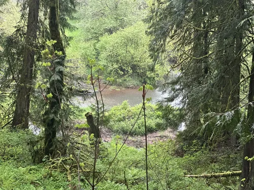 Best Kid Friendly Trails in Brush Prairie | AllTrails