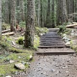 Wonderland Trail: Longmire to Cougar Rock Campground, Washington - 414 ...