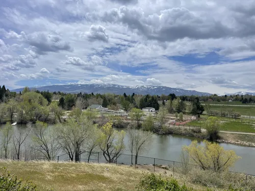 Best Bird Watching Trails in Rancho San Rafael Regional Park | AllTrails