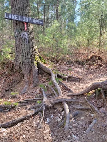 Best Hikes and Trails in Massasoit State Park | AllTrails