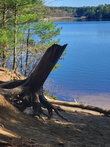Best Hikes and Trails in Massasoit State Park | AllTrails