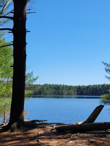 Best Hikes and Trails in Massasoit State Park | AllTrails