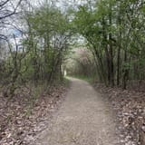 Plateau Trail, Ohio - 3,376 Reviews, Map | AllTrails